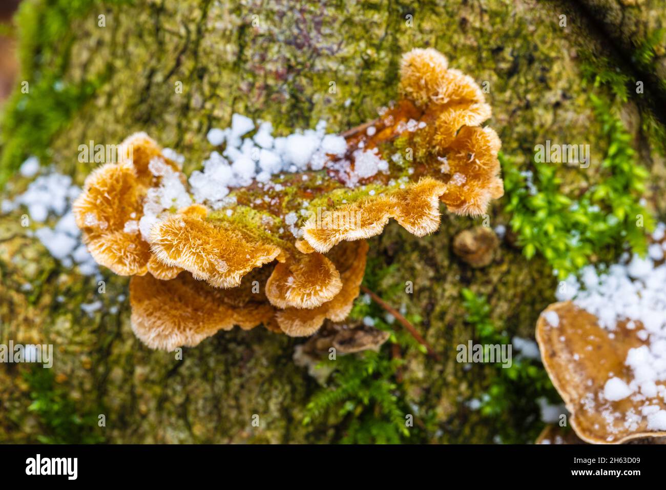 Sleet hi-res stock photography and images - Alamy