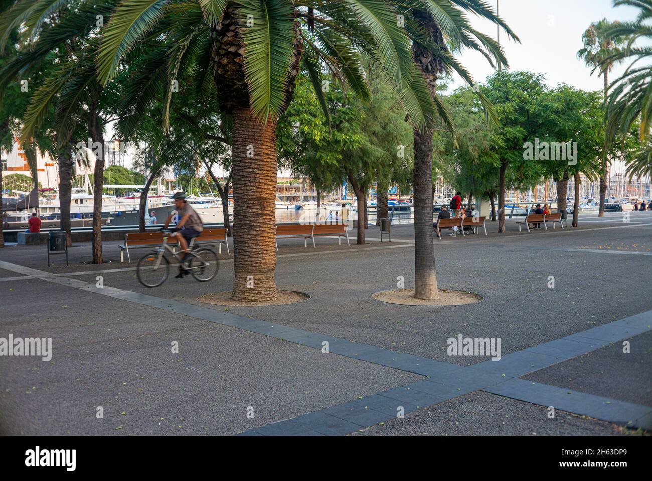 impressions of barcelona - a city on the coast of northeastern spain ...