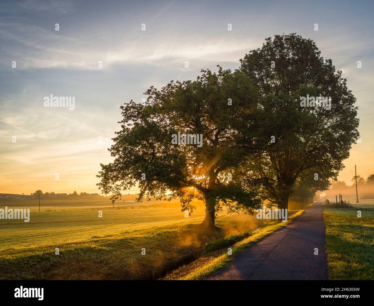 Katzensee hi-res stock photography and images - Alamy