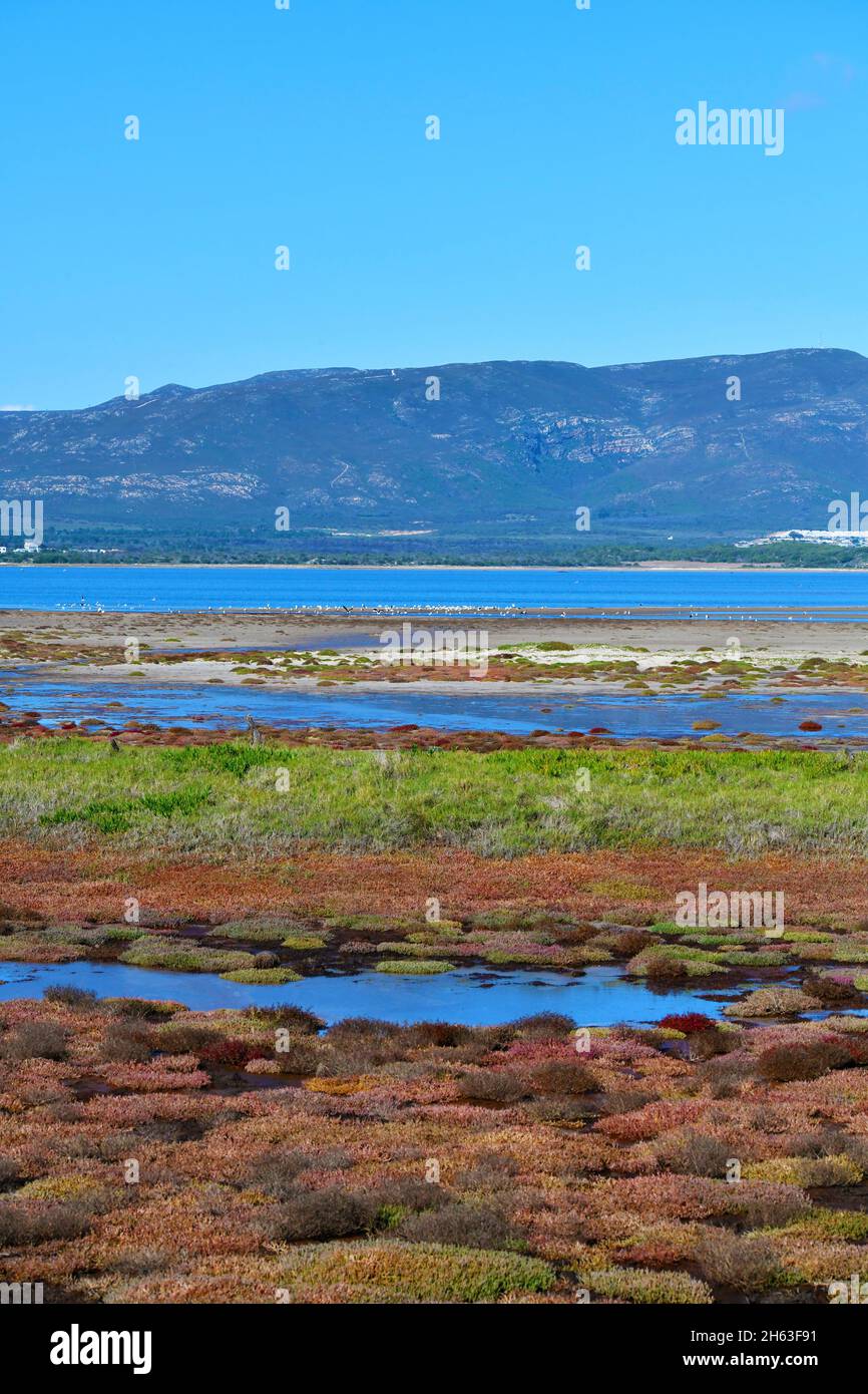 Bot river lagoon hi-res stock photography and images - Alamy