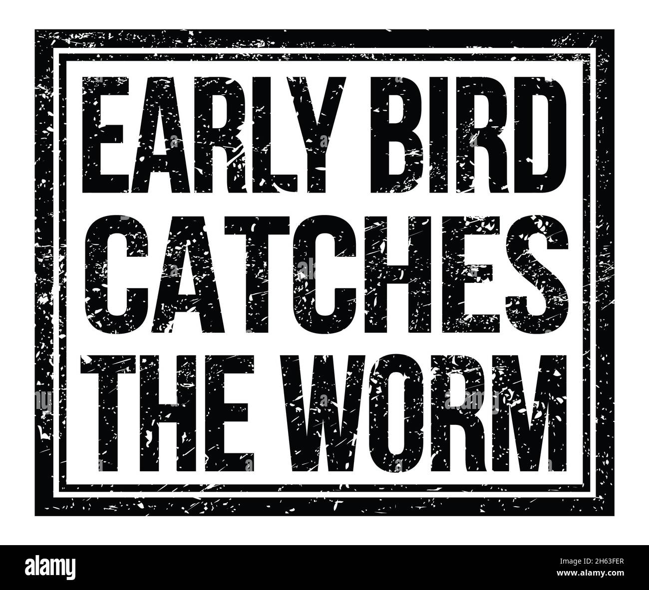 The early bird catches the worm hi-res stock photography and images - Alamy