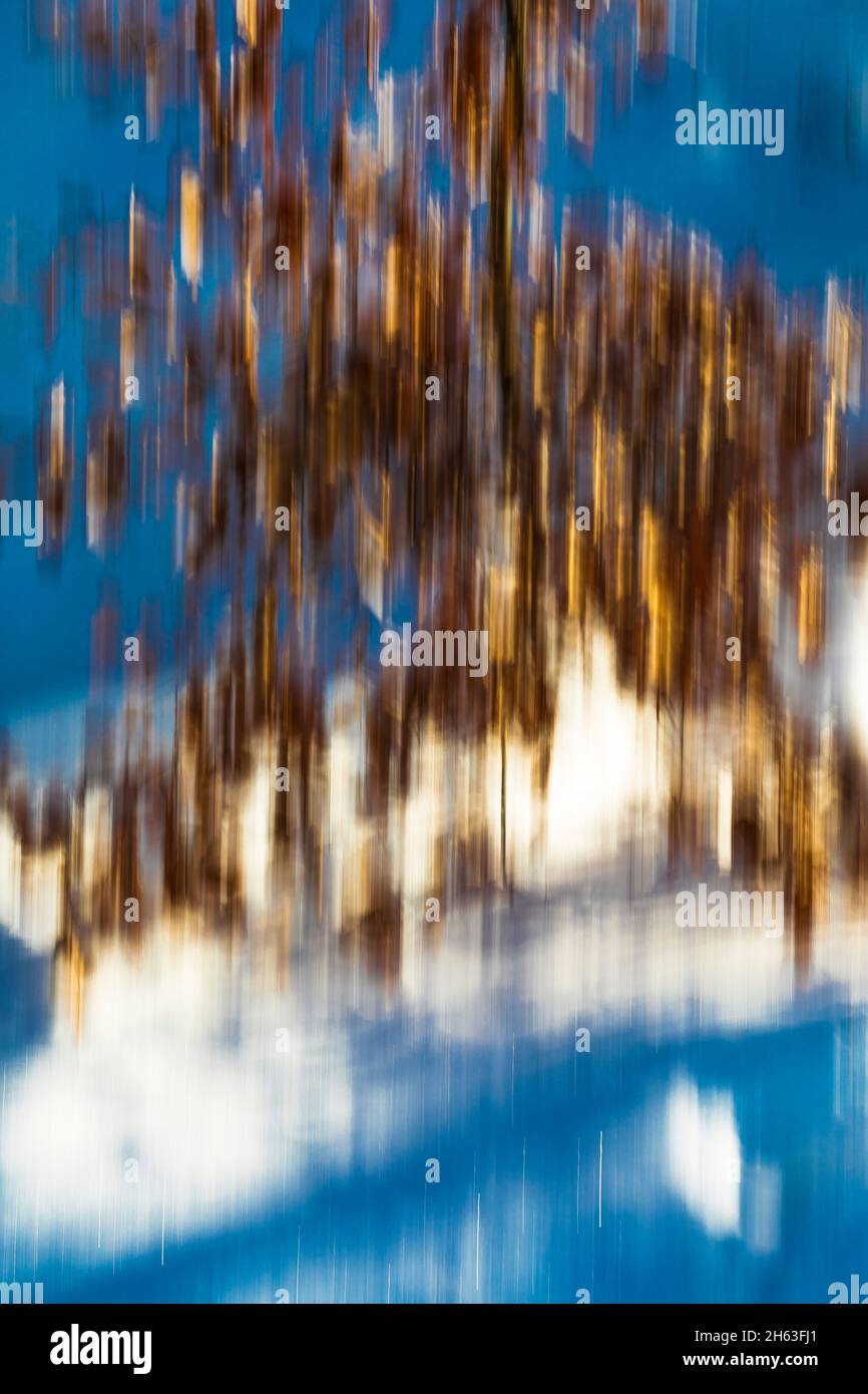 blurred,blurred forest due to motion blur Stock Photo - Alamy