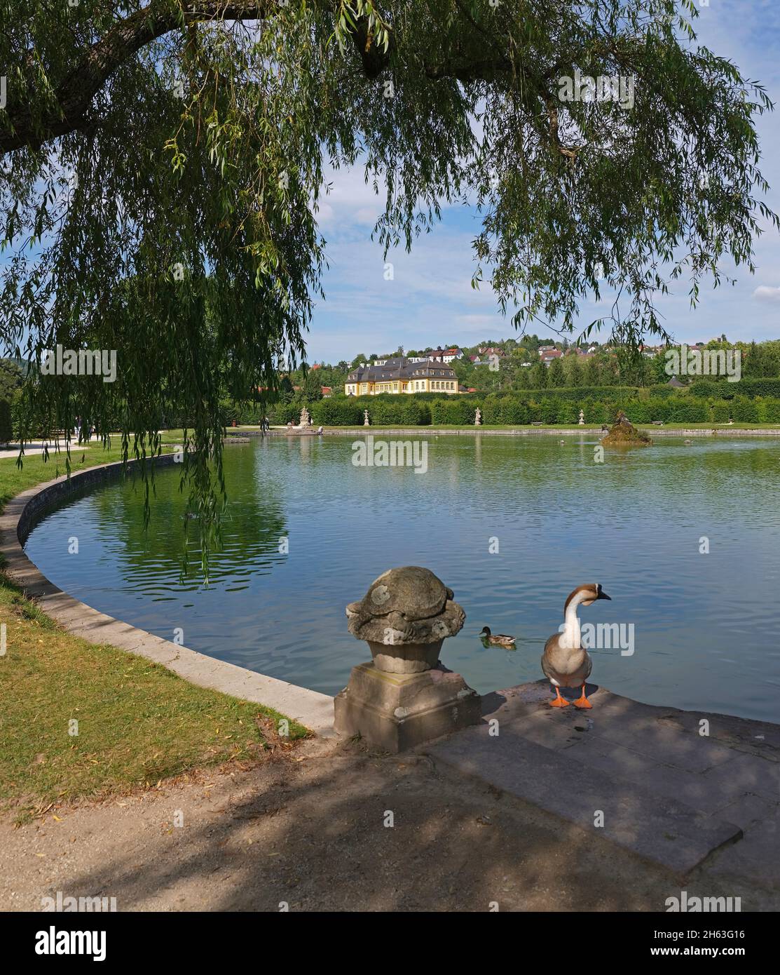 grosser see,knob goose,rococo garden,castle,veitshöchheim,bavaria ...
