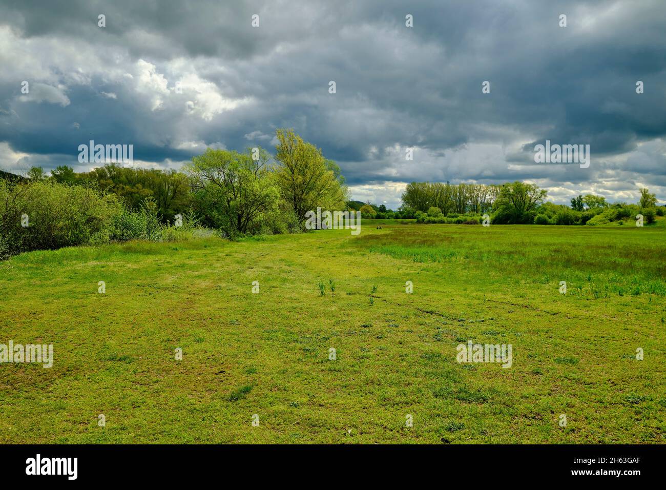 altmain nature reserve and sandy grasslands near limbach,hassberge ...