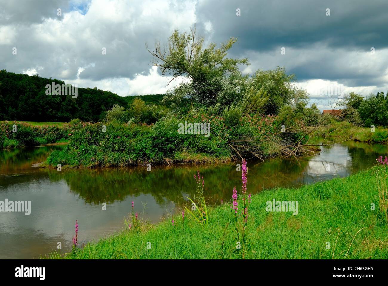 the franconian saale and the saalewiesen near bad kissingen,bad ...