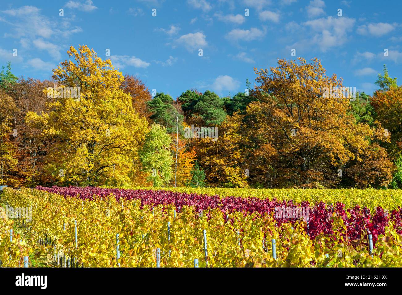 Baden wurttemberg village route hi-res stock photography and images - Alamy
