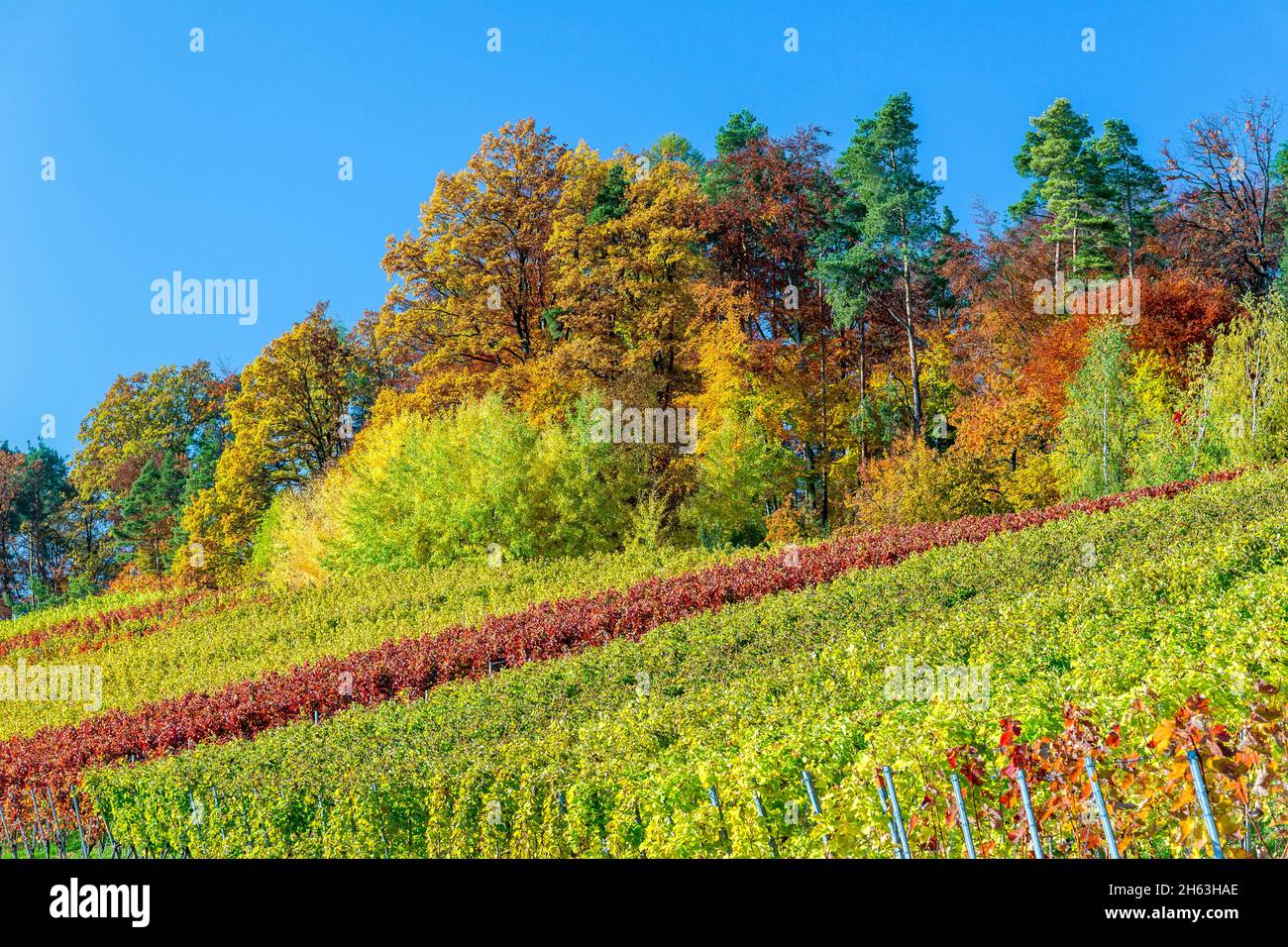Stetten germany hi-res stock photography and images - Alamy