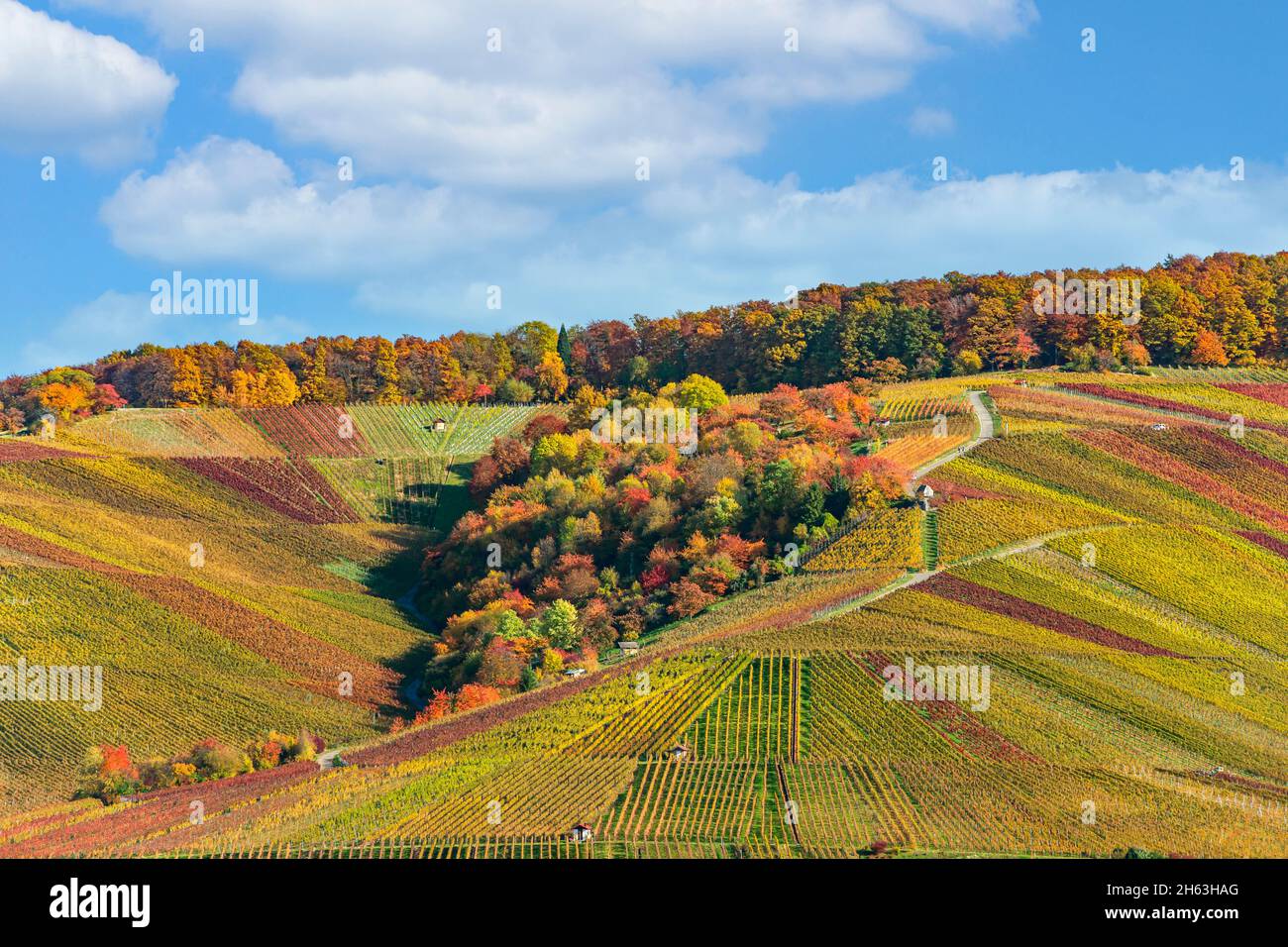 germany,baden-wuerttemberg,kernen-stetten in the remstal,colorfully ...