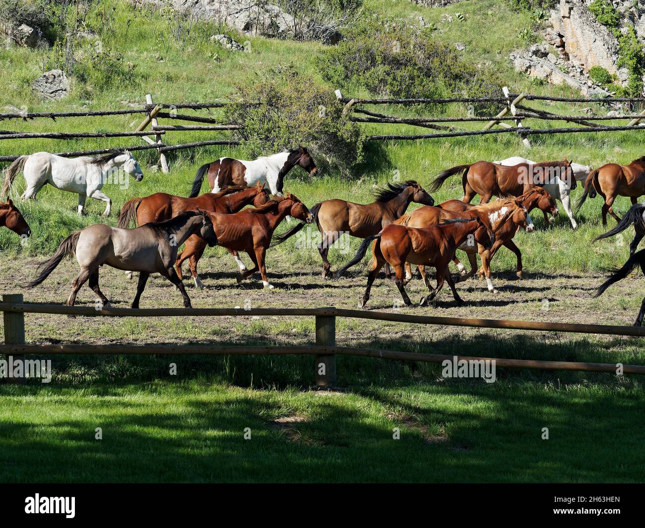 American cowgirls hi-res stock photography and images - Alamy