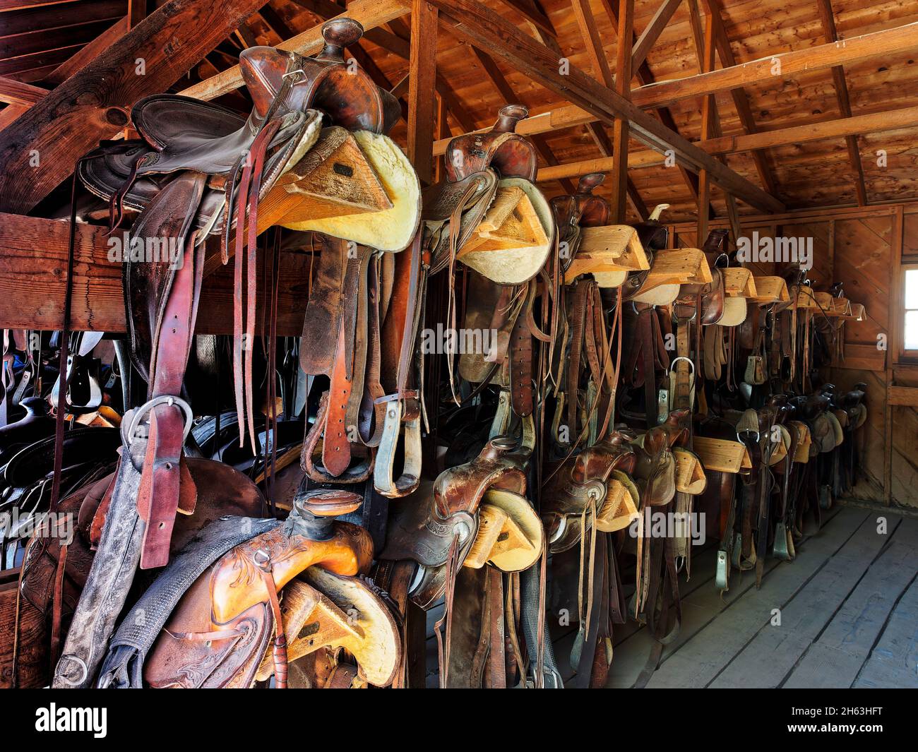 american west,dude ranch,horseback riding,leather,leisure,recreation ...