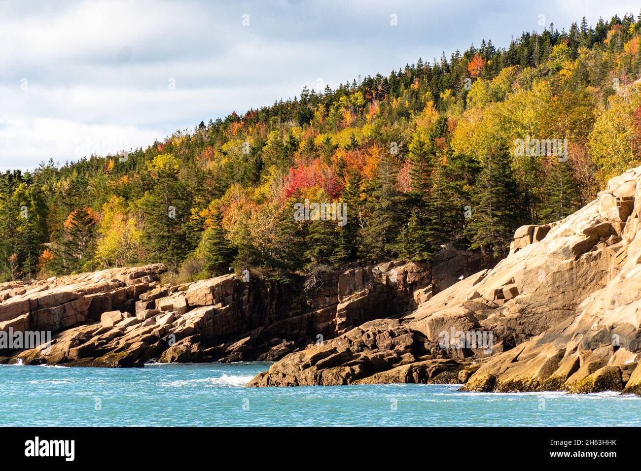 Acadia national park with trees changing colors in fall Stock Photo - Alamy
