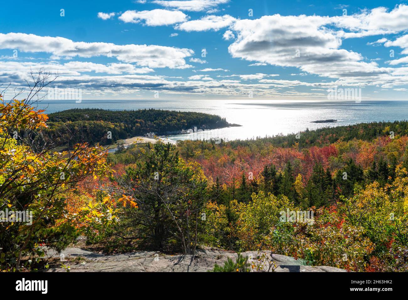 Acadia national park with trees changing colors in fall Stock Photo - Alamy