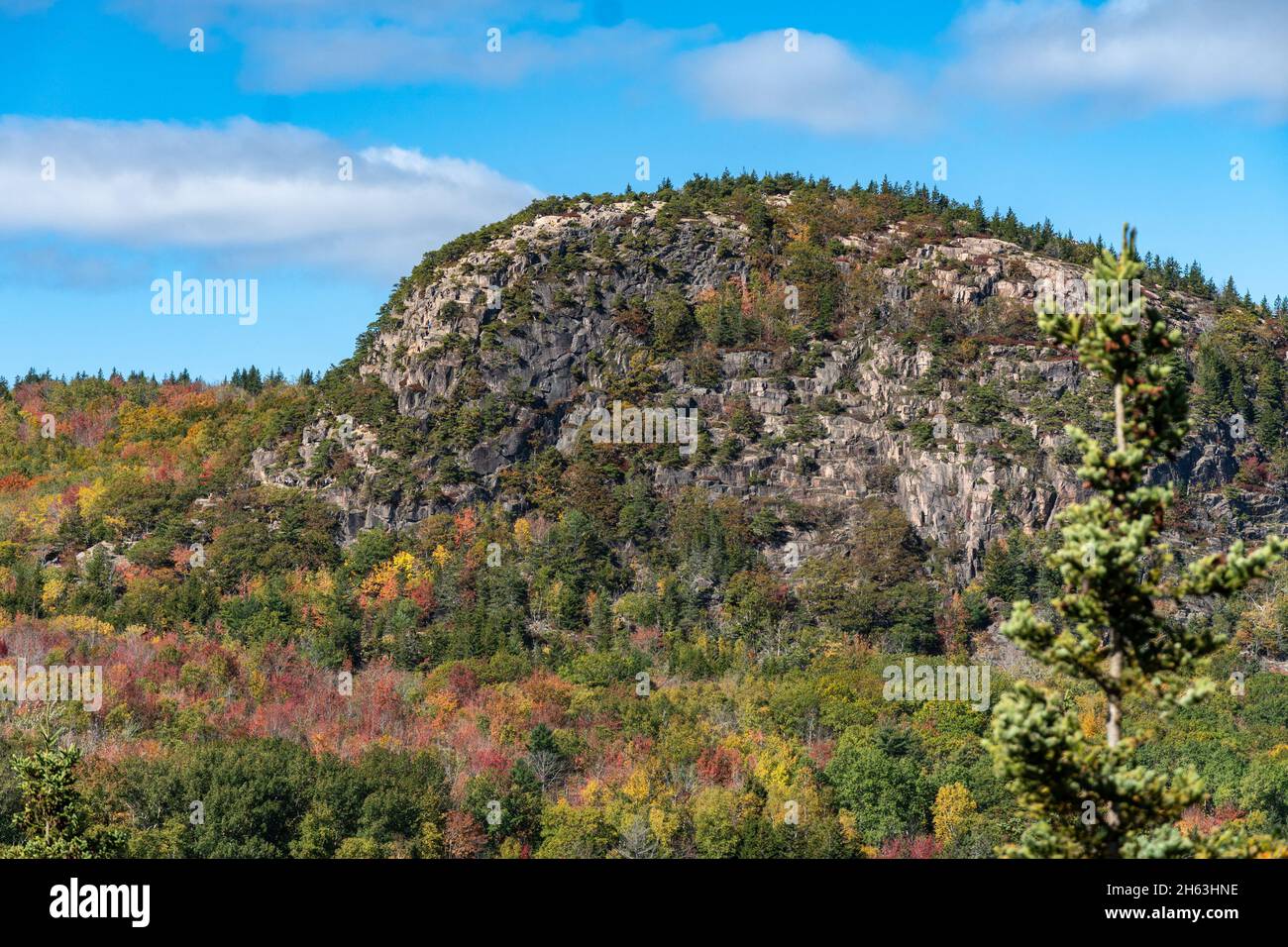 Acadia national park with trees changing colors in fall Stock Photo - Alamy