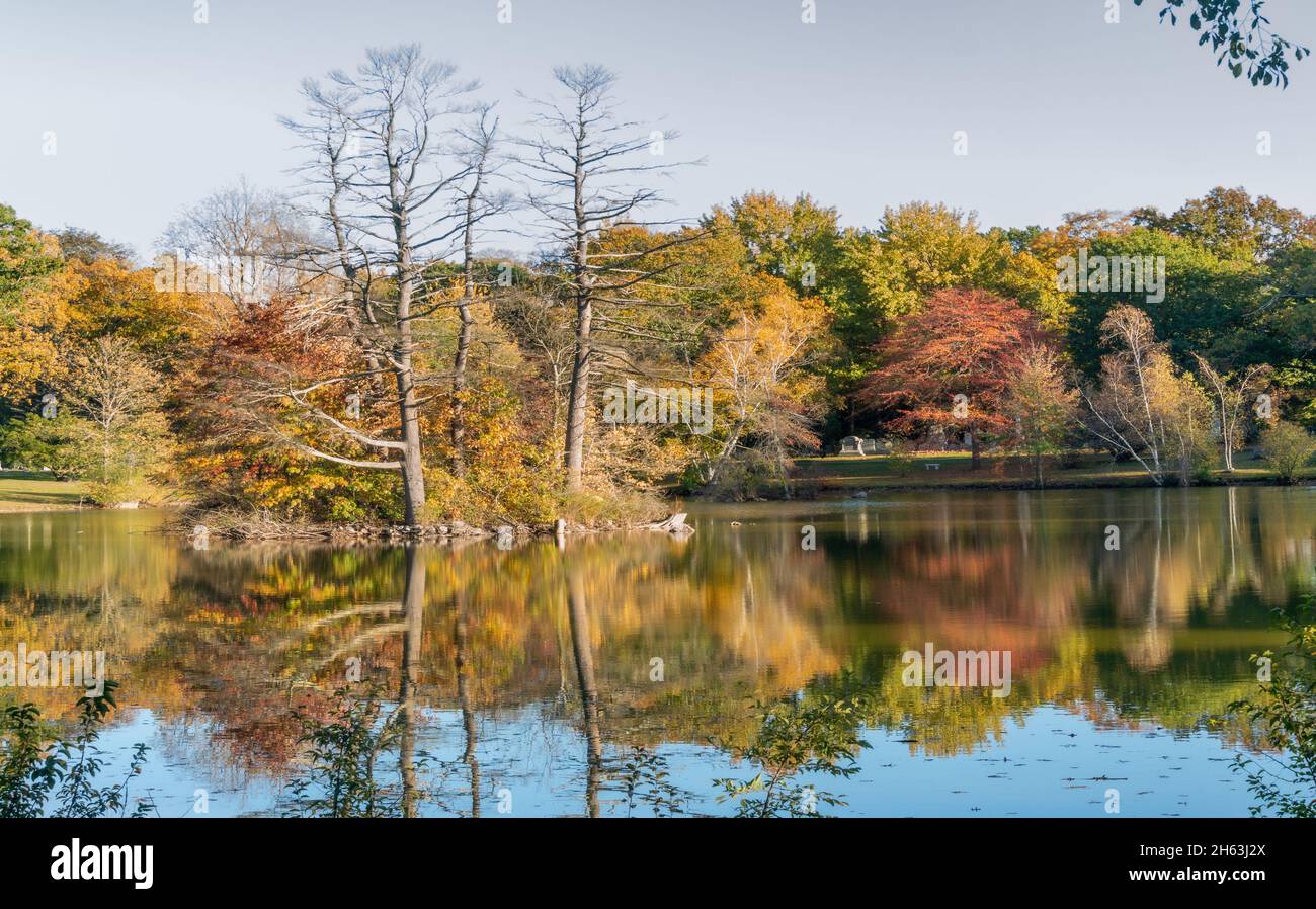Fall colors in trees Stock Photo - Alamy