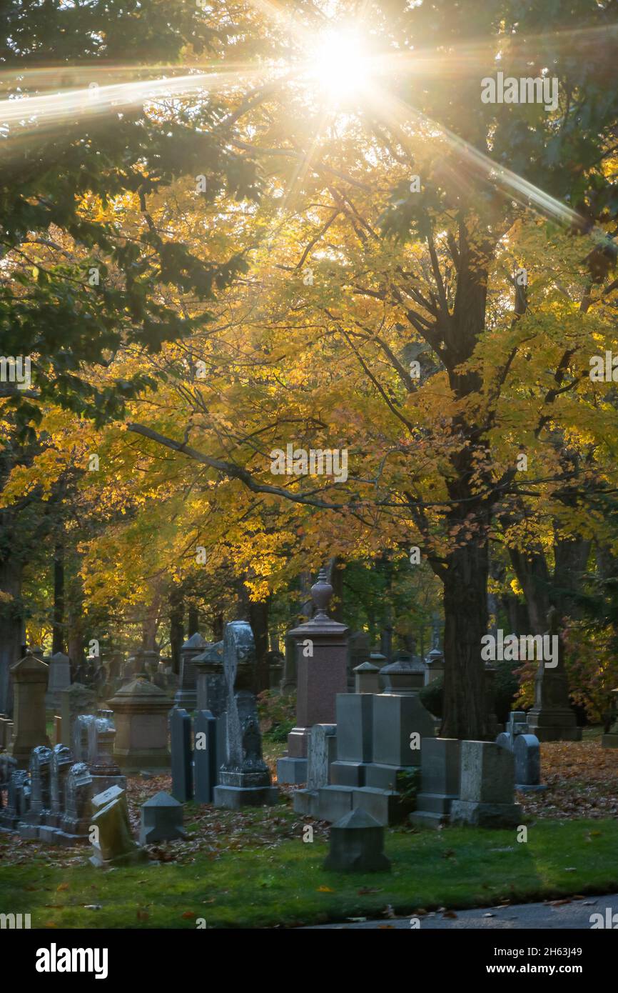 Tombstone in cemetary on autumn day in Boston with sunlight Stock Photo ...