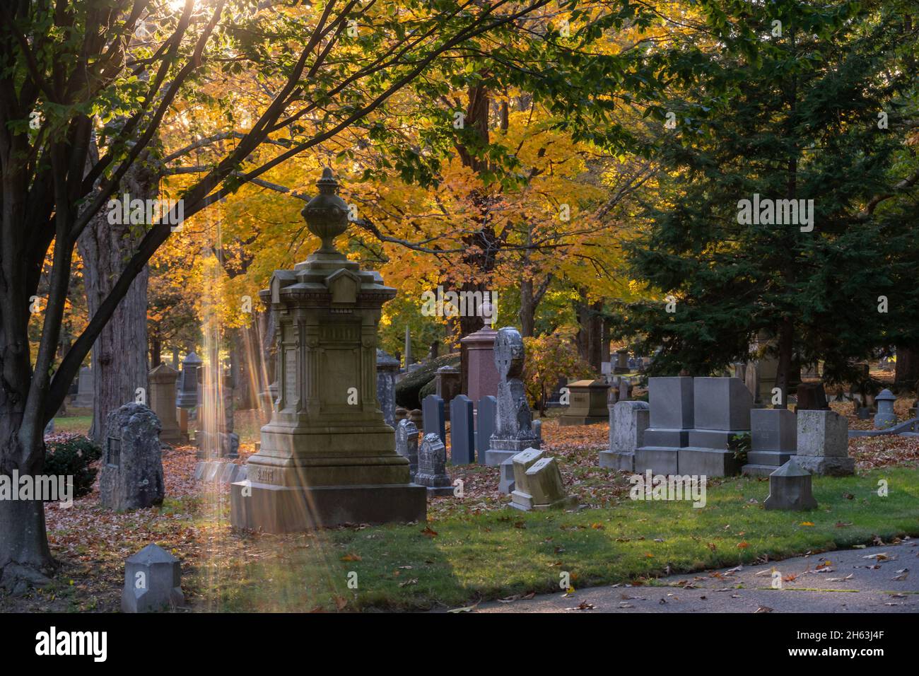 Tombstone in cemetary on autumn day in Boston with sunlight Stock Photo ...
