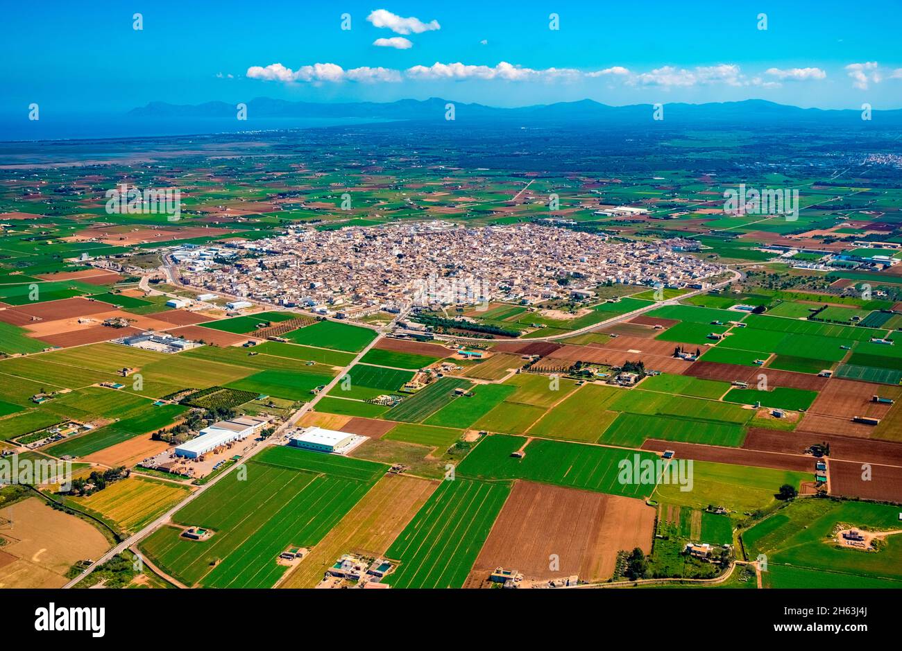 aerial view,sa pobla,pla de na tesa,cabaneta (sa),mallorca,balearic ...