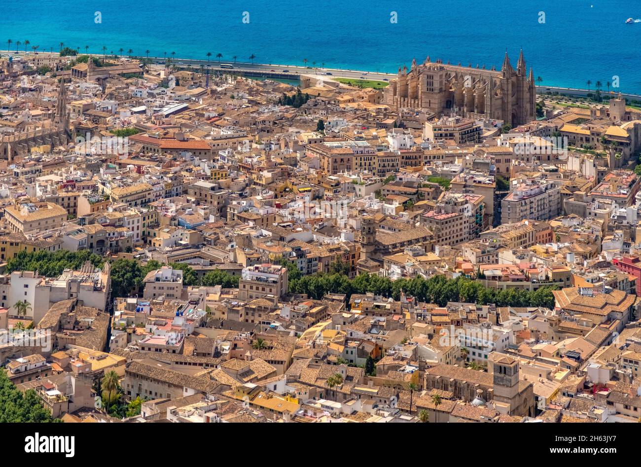 aerial view,old town and church santa iglesia catedral de mallorca ...