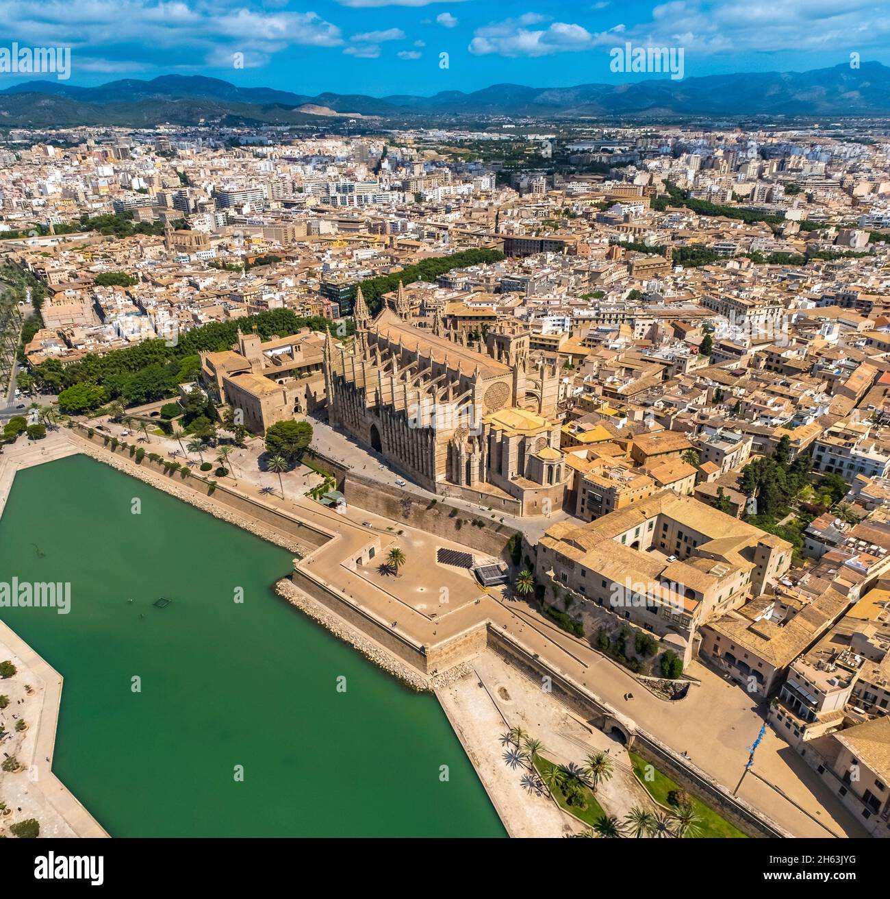 aerial view,santa iglesia catedral de mallorca church,palma cathedral ...