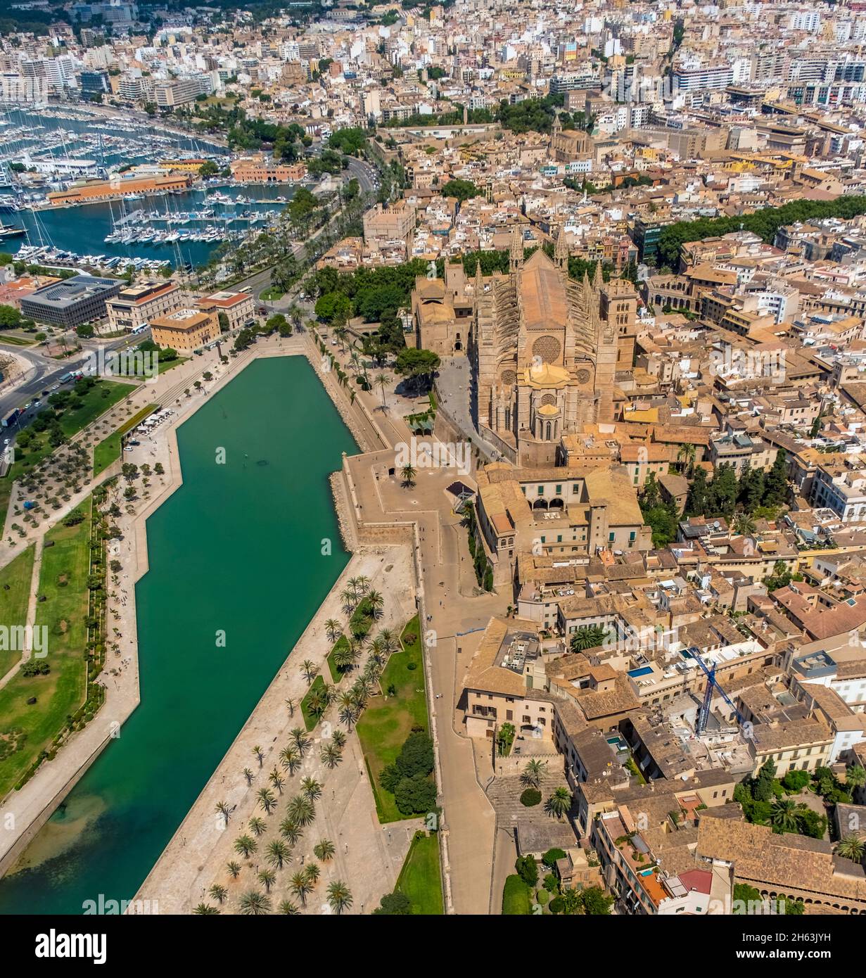 aerial view,santa iglesia catedral de mallorca church,palma cathedral ...