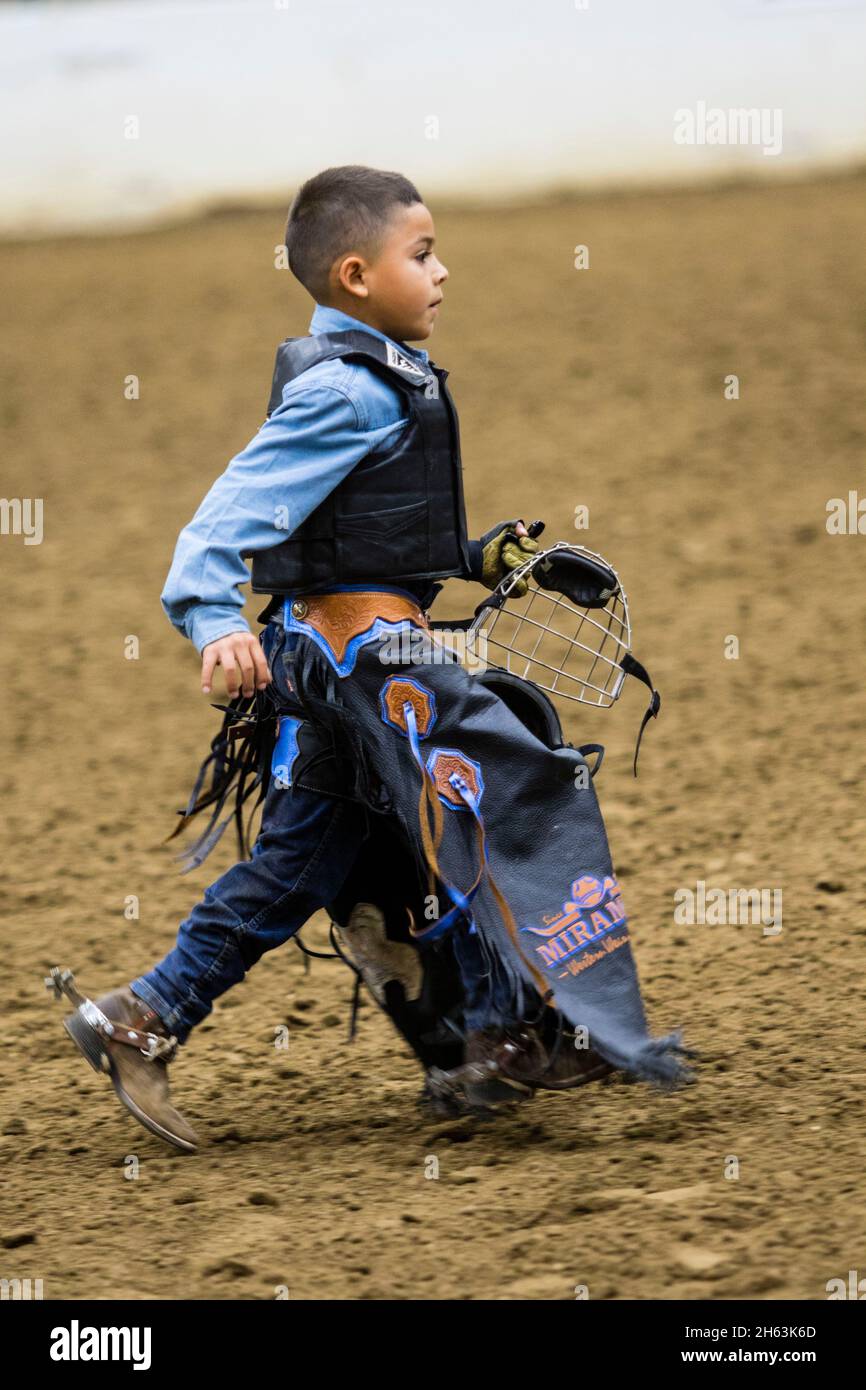 Reno, United States. 11th Nov, 2021. A young bull rider runs back to ...