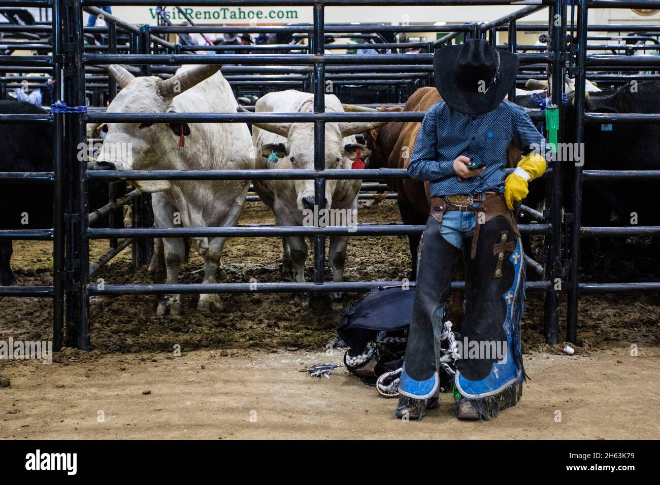 Reno, United States. 11th Nov, 2021. A youth bull rider on his cell ...