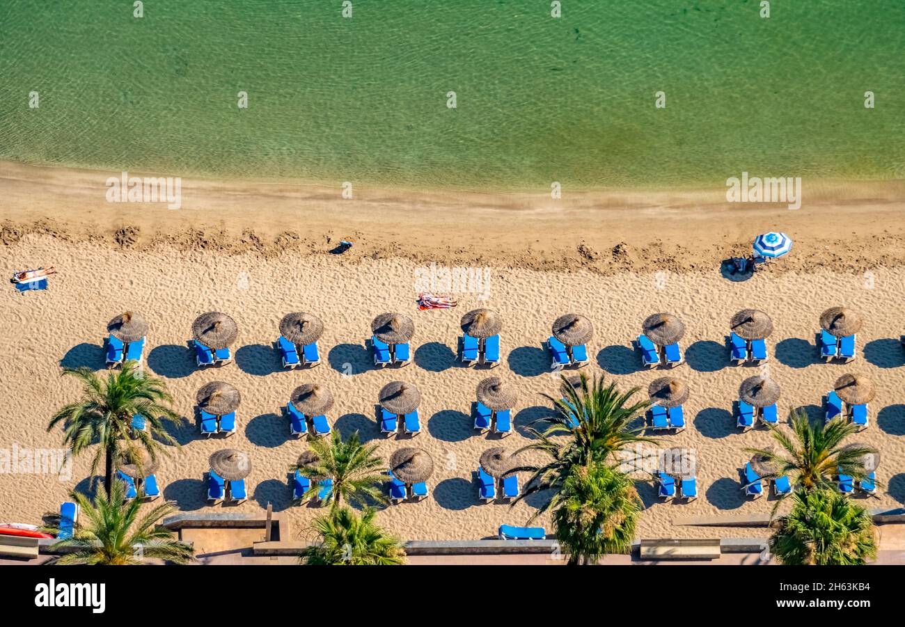 aerial view,sunbathing on the beach,straw parasols and deck chairs ...