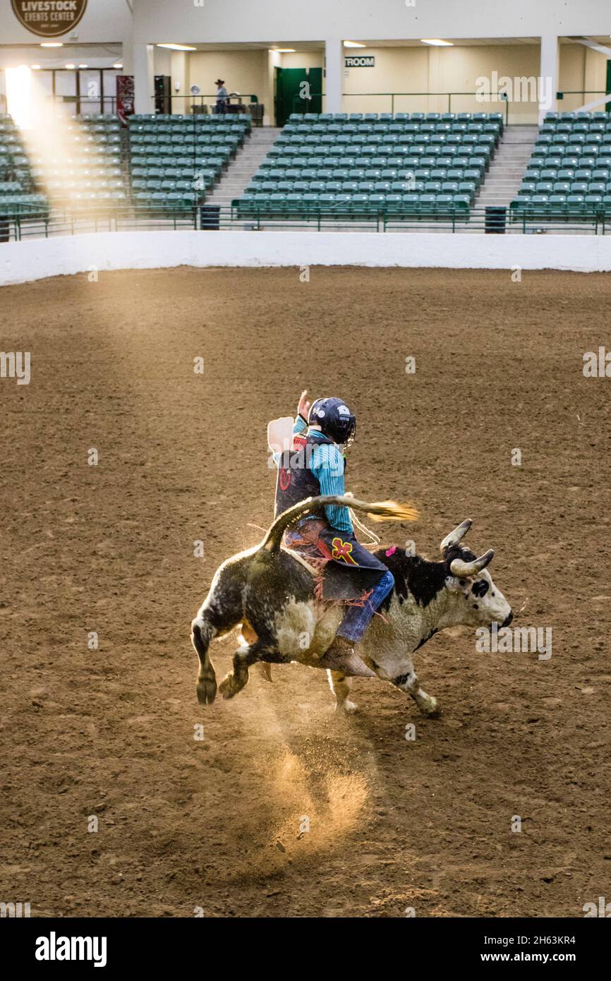 Reno, United States. 11th Nov, 2021. A bull and rider go though a ray ...