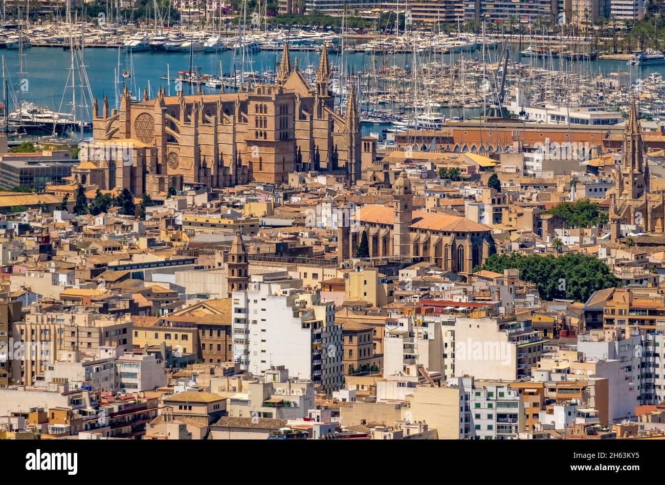 aerial view,santa iglesia catedral de mallorca church,palma cathedral ...