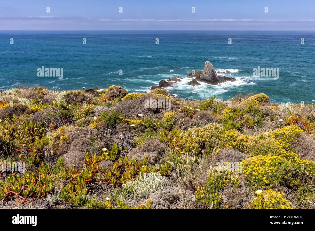 Ocean coast spring view hi-res stock photography and images - Alamy
