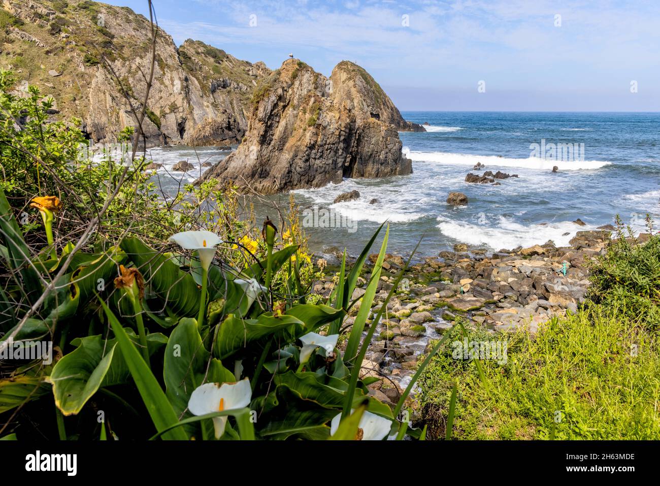 Ocean coast spring view hi-res stock photography and images - Alamy