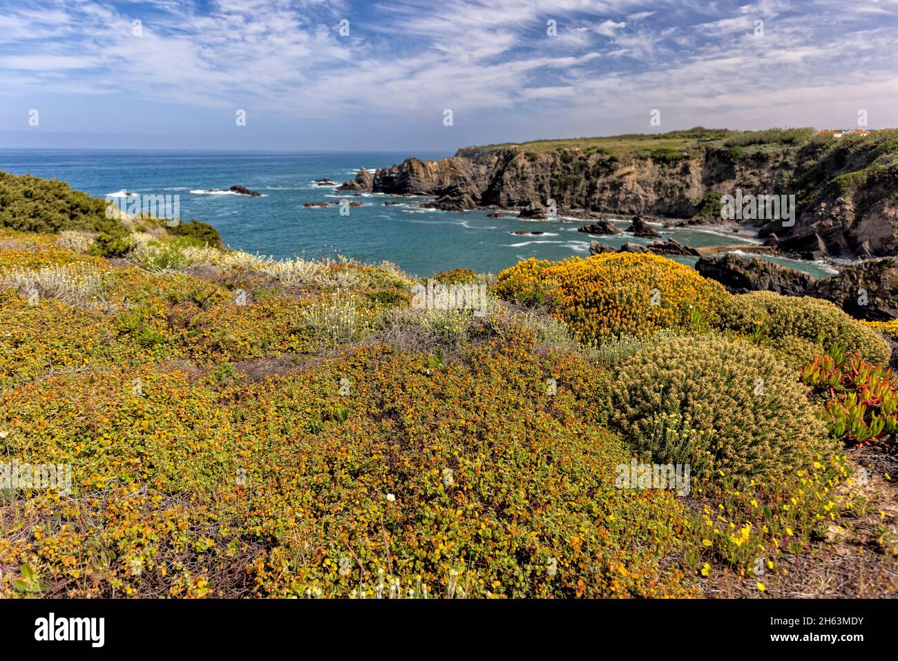 Ocean coast spring view hi-res stock photography and images - Alamy