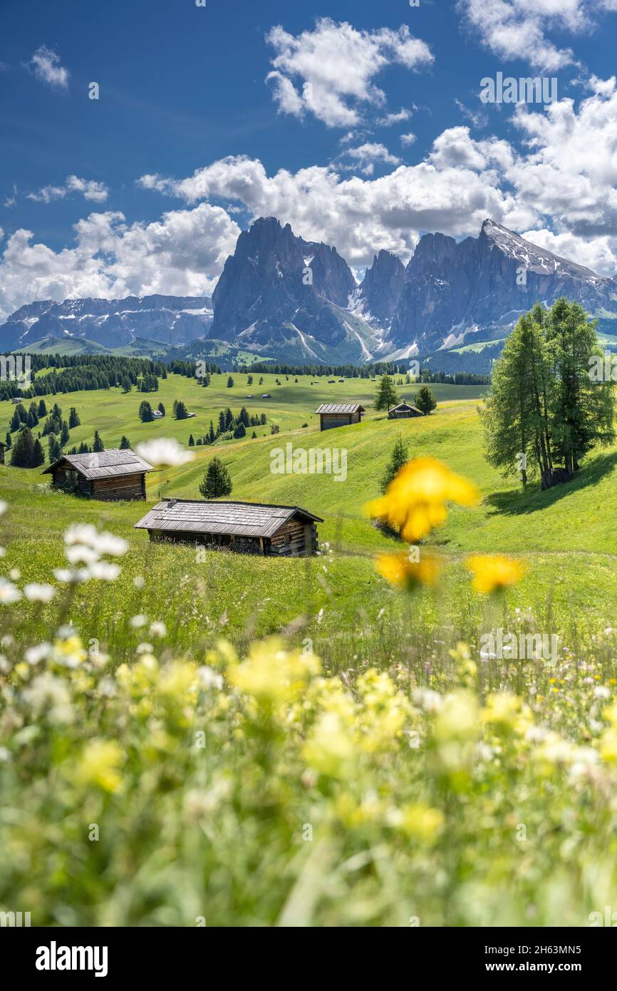 seiser alm,castelrotto,south tyrol,bolzano province,italy. view from ...