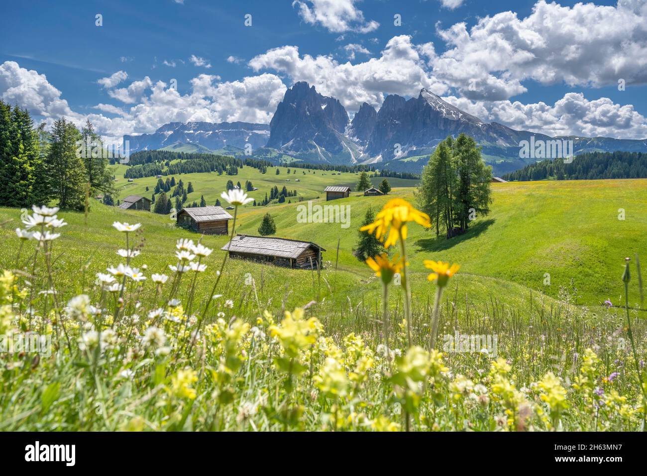 seiser alm,castelrotto,south tyrol,bolzano province,italy. view from ...