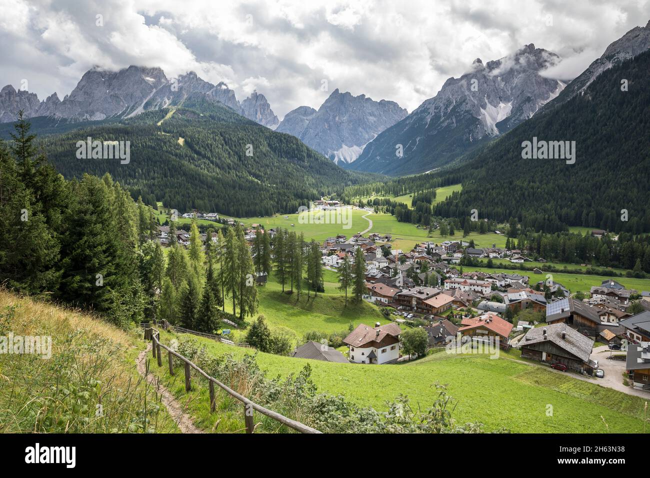 moss in the sesto valley in front of the sesto dolomites,center of the ...