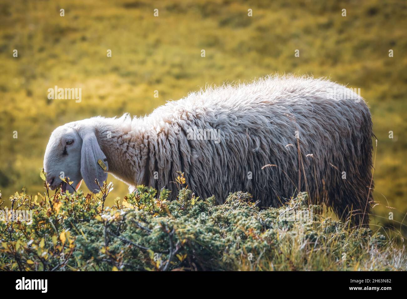 Lonely environment hi-res stock photography and images - Alamy