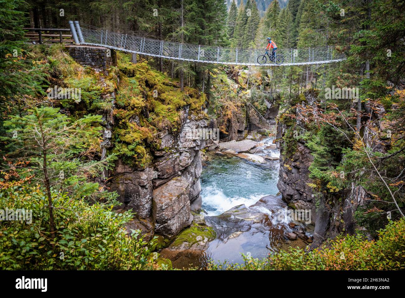 cyclist on the suspension bridge over the travignolo gorge,paneveggio ...