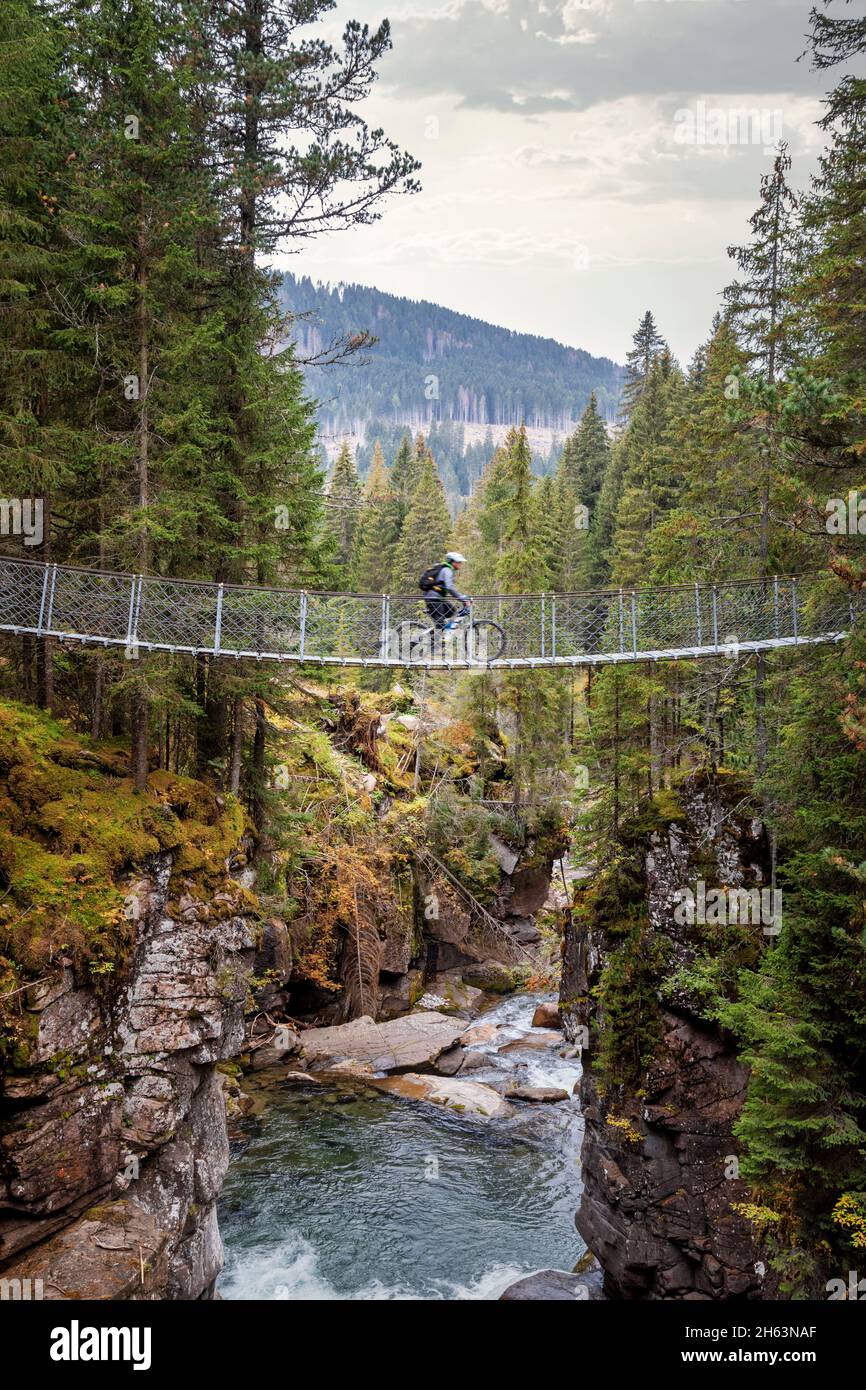 Cyclist on the suspension bridge over the travignolo gorge hi-res stock ...