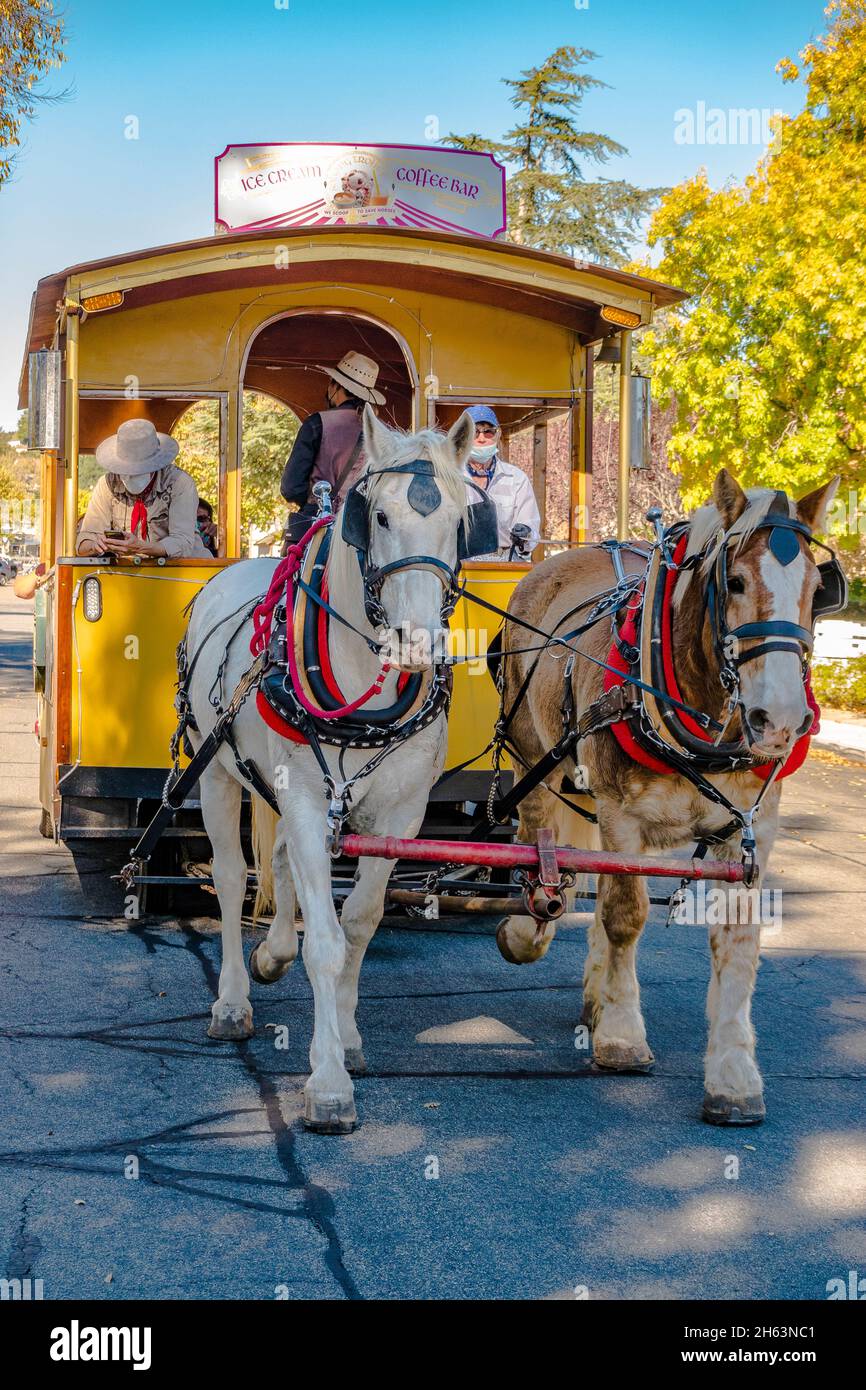 A horse trolley full of sightseers being pulled by two horses through ...