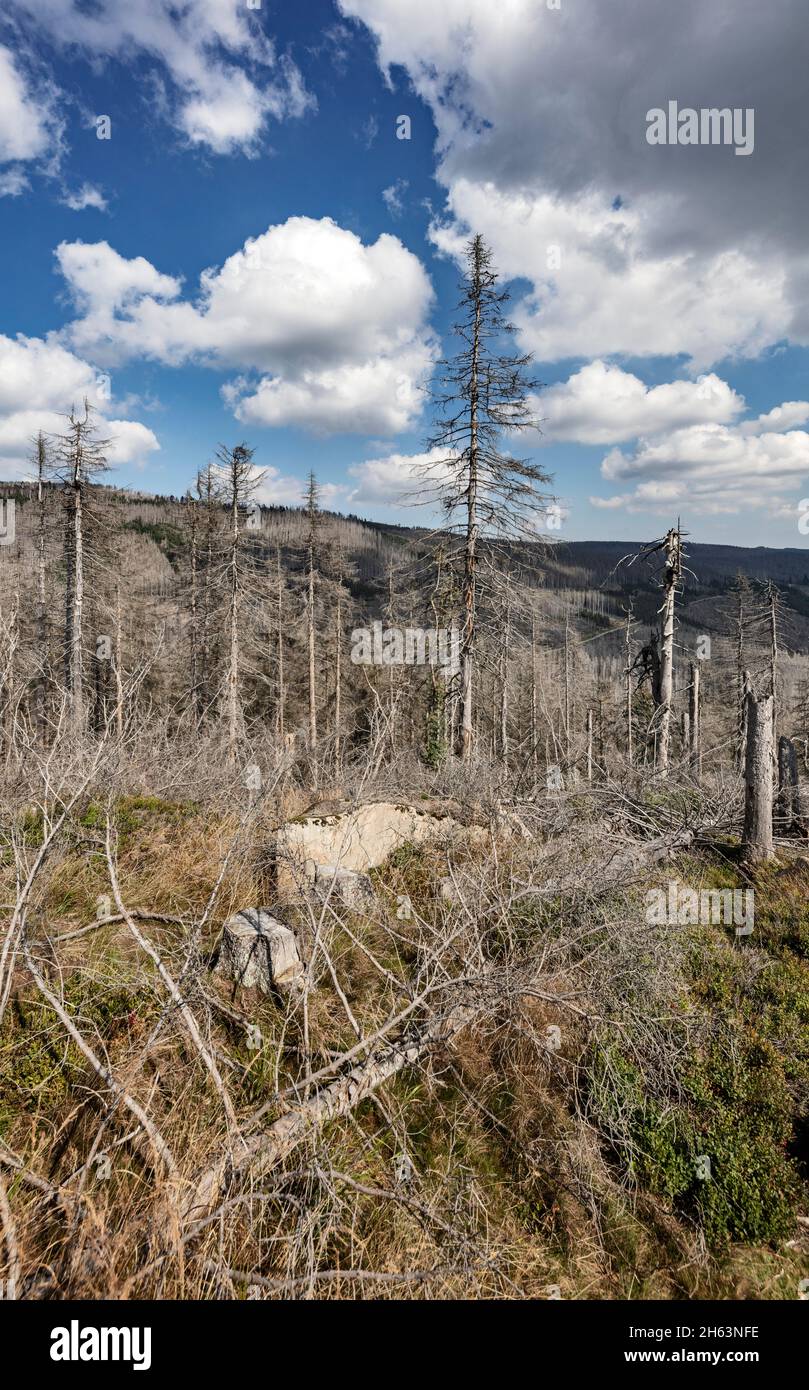 Damaging trees or plants hi-res stock photography and images - Alamy