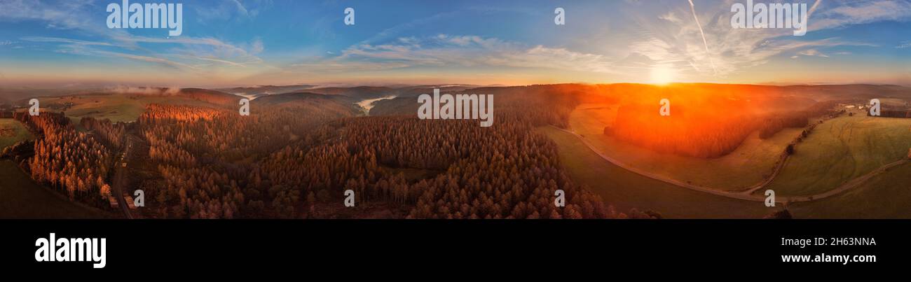 germany,thuringia,masserberg,schnett,dead trees,sun,rennsteig ...