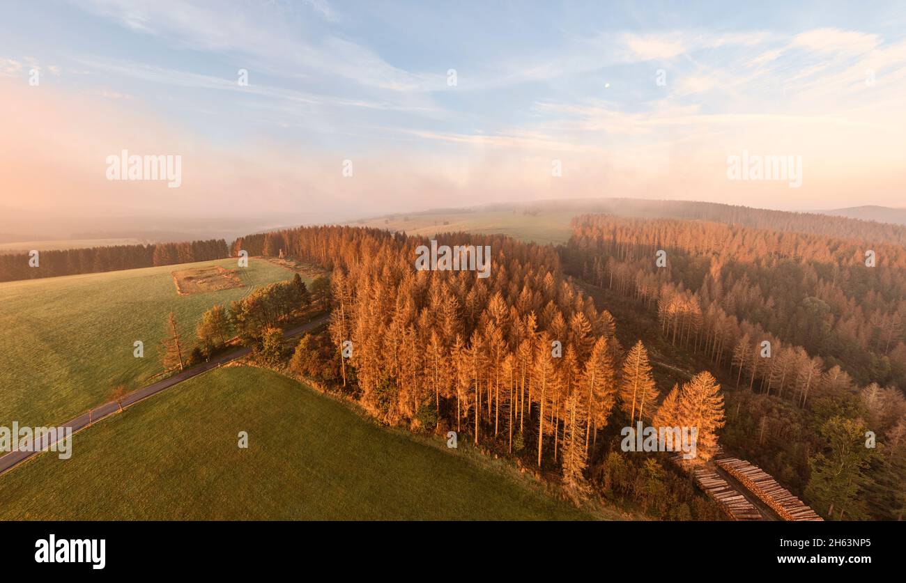 Photographing beetles hi-res stock photography and images - Alamy