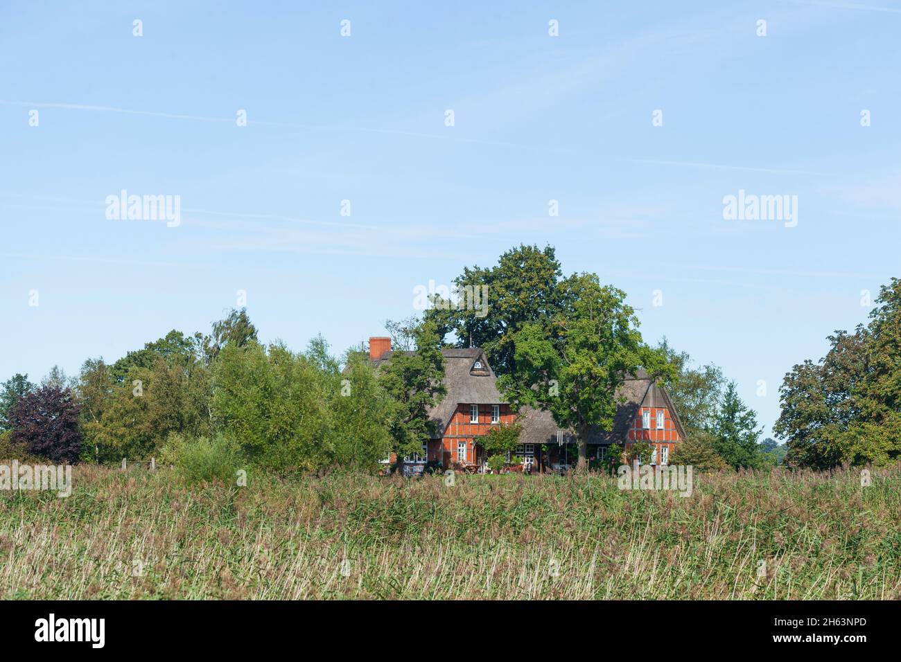 thatched farmhouse in the bremen blockland,bremen,germany,europe Stock ...