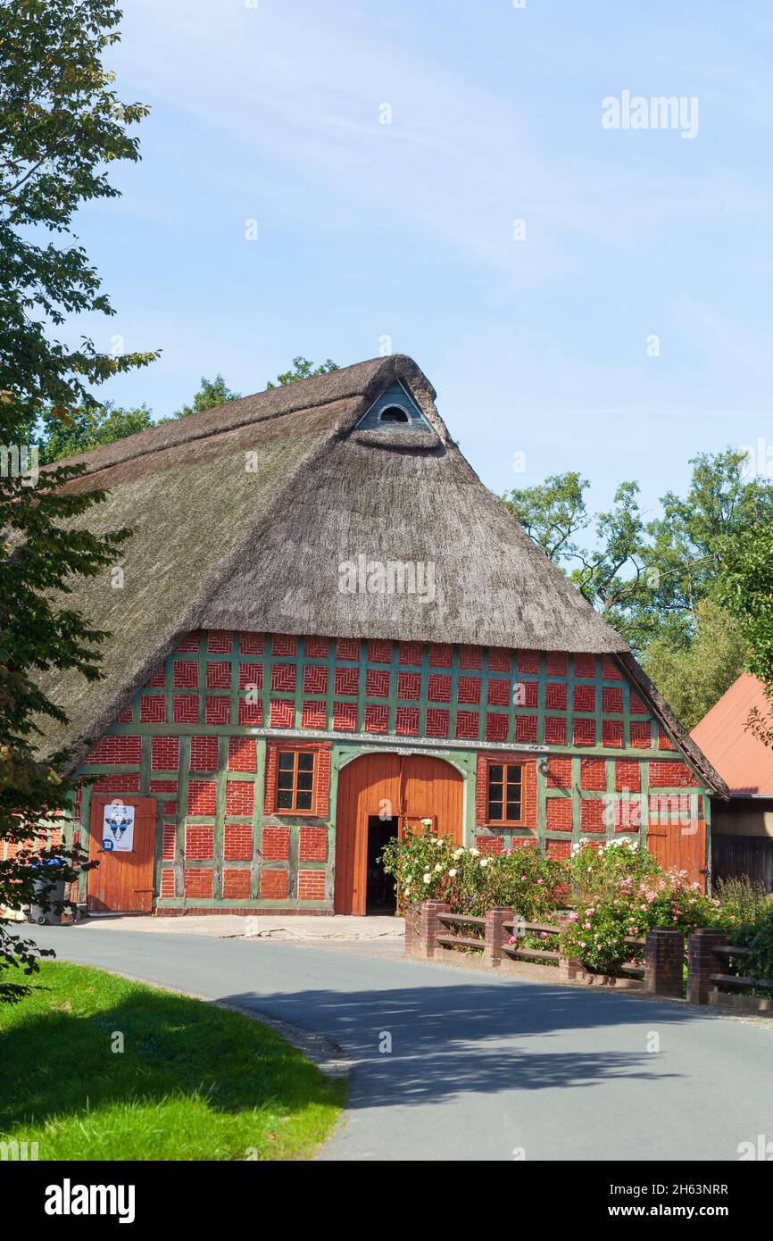 Blockland House Cool