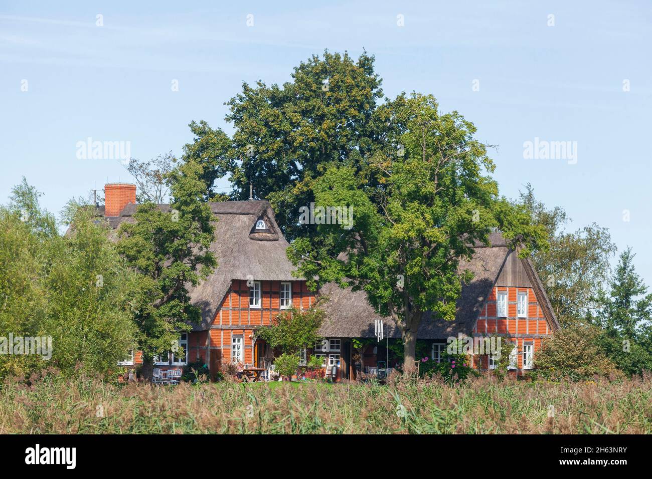 thatched farmhouse in the bremen blockland,bremen,germany,europe Stock ...