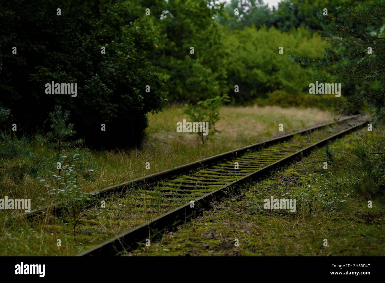 old railway track,shallow depth of field,soft bokeh Stock Photo - Alamy