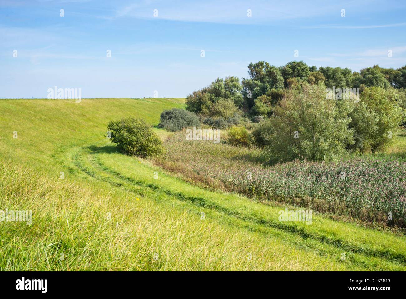 natural landscape behind a dike on the dutch north sea coast near ...