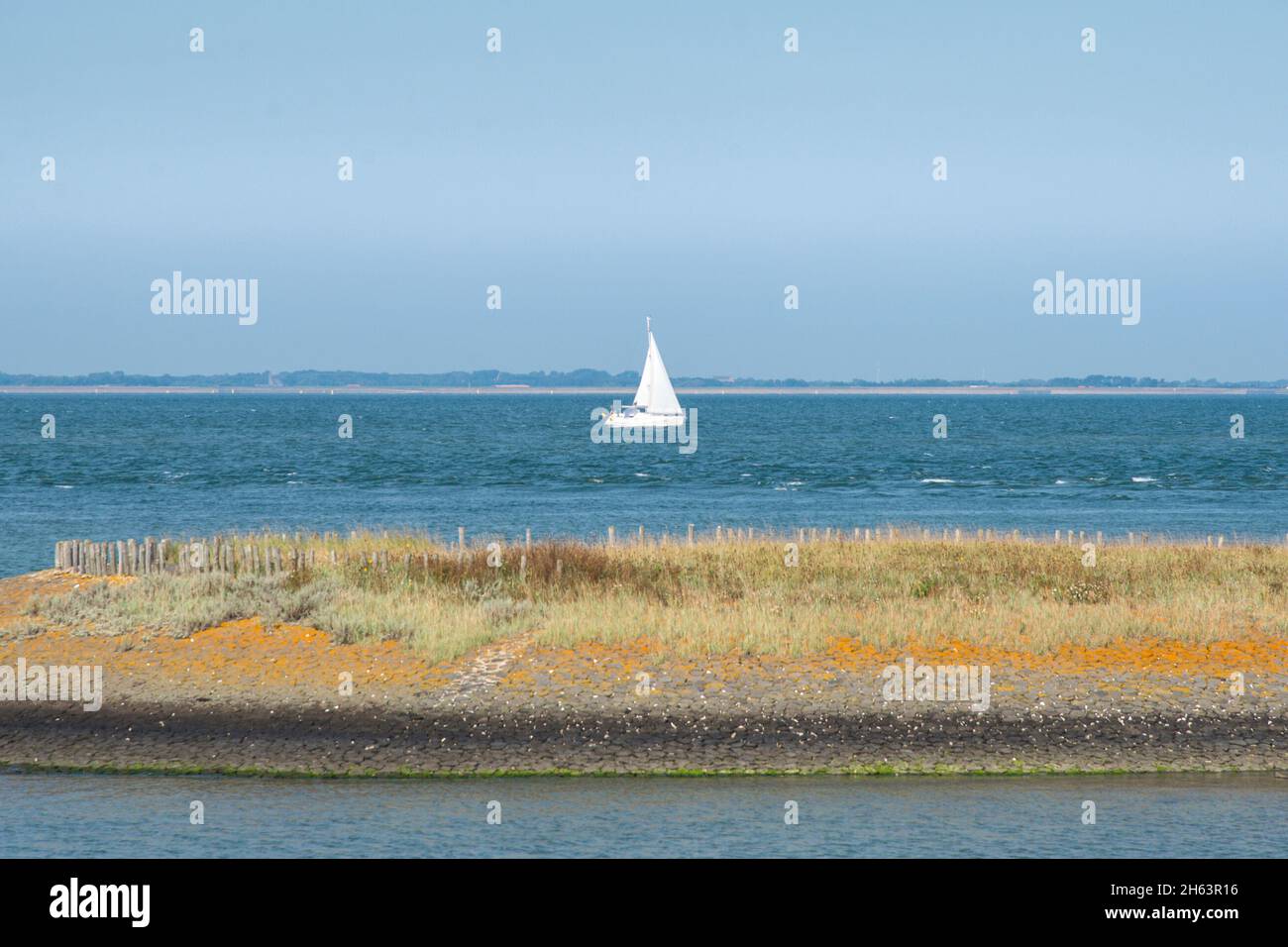 single sailing boat in front of the horizon line on the north sea Stock ...