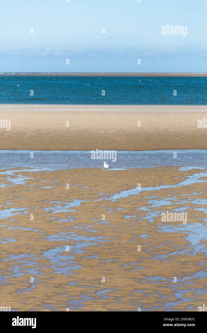 Foreground people bathing hi-res stock photography and images - Alamy