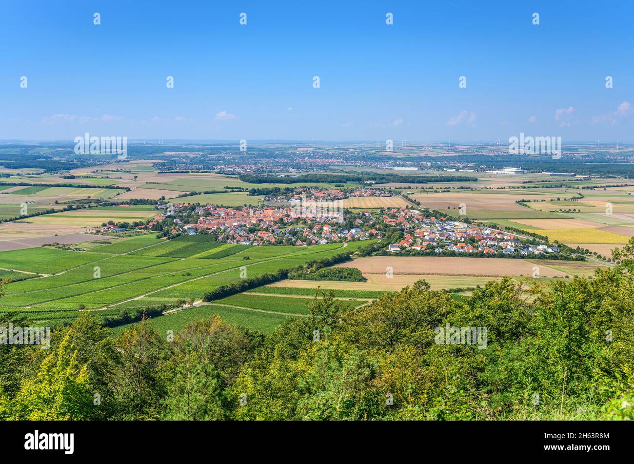 germany,bavaria,lower franconia,franconian wine country,rödelsee,wine ...